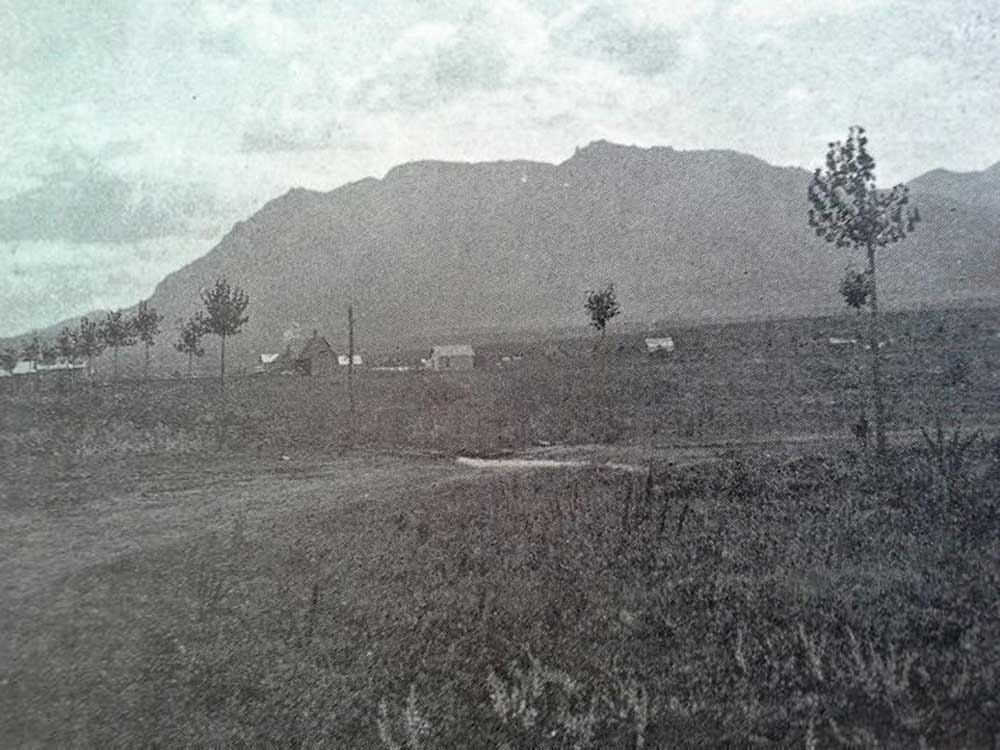 Photo Gallery, Victorian Home, McAllister House Museum